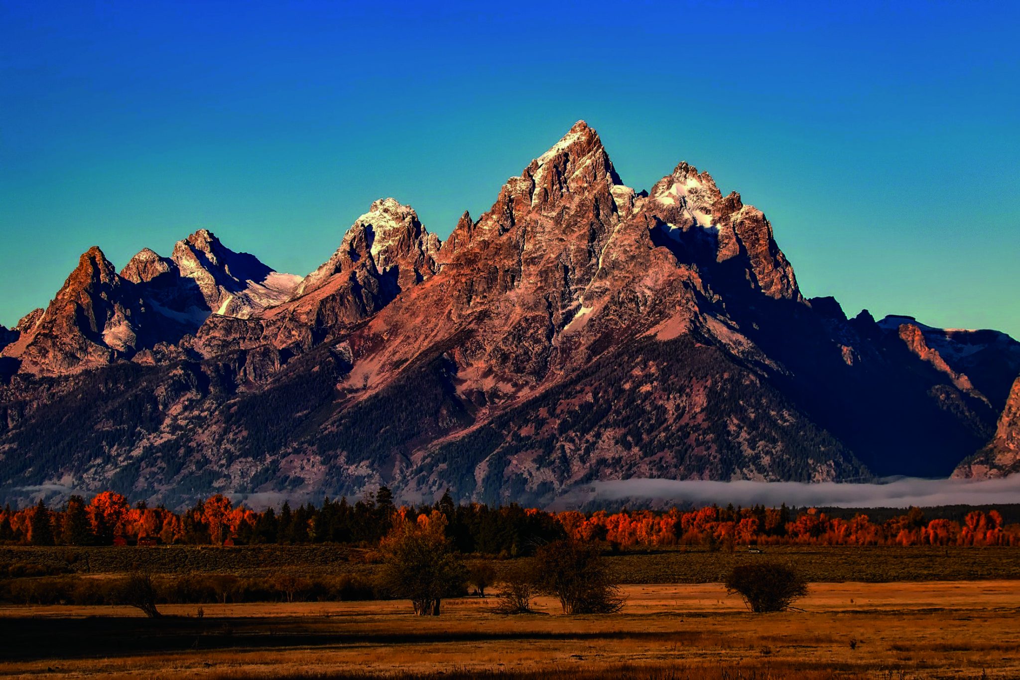 MAGNA Releases U.S. Advertising Forecast Spring 2025 Update - MAGNA